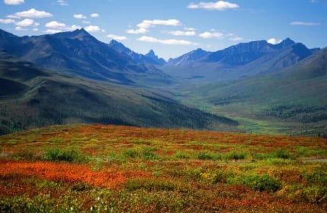 Summer Sled Dog Remote Yukon Camp & Summit Tour - Key Points