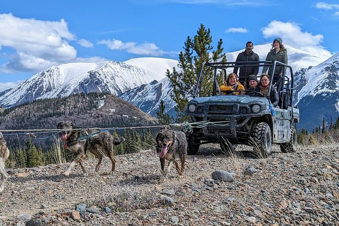 Summer Sled Dog Remote Yukon Camp & Summit Tour - Authentic Insights from Reviewers
