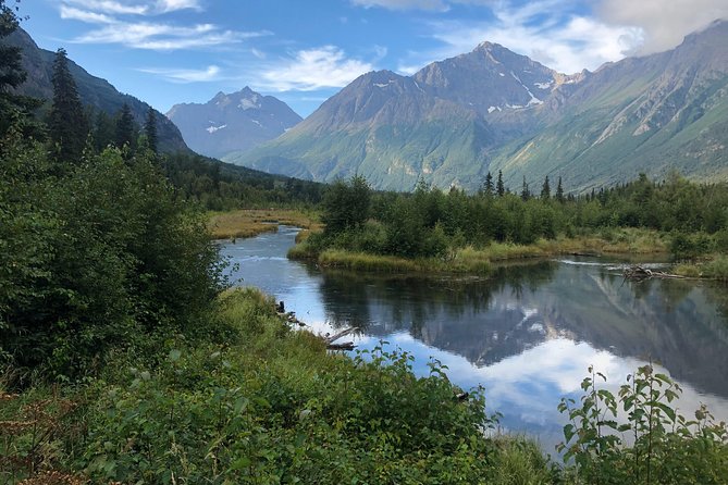 Summer Valley and Forest Hike - Why You’ll Love the Summer Valley and Forest Hike