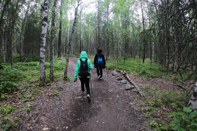 Summer Valley and Forest Hike - The Itinerary: What to Expect from Start to Finish