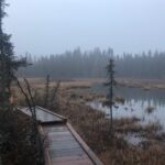 Summer Valley and Forest Hike - Authentic Experiences from Reviewers