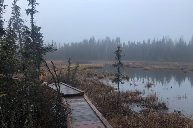 Summer Valley and Forest Hike - Authentic Experiences from Reviewers