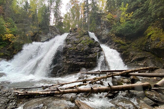 Summer Valley and Forest Hike - The Sum Up: Is the Summer Valley and Forest Hike Right for You?