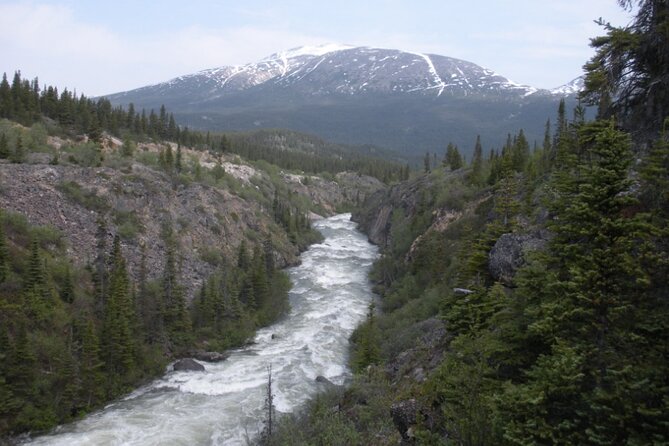 Summit Experience & Yukon Suspension Bridge Tour - The Guide and Group Experience