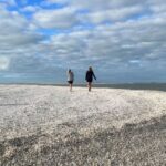 Sunrise and Shine 10,000 Islands Shelling Tour - Why This Tour Stands Out