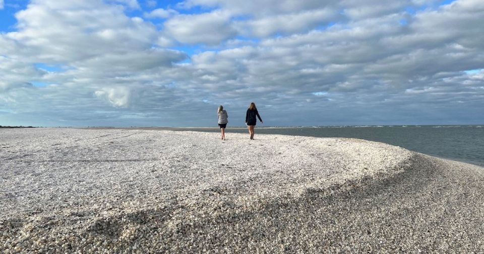 Sunrise and Shine 10,000 Islands Shelling Tour - Why This Tour Stands Out