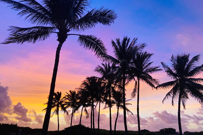 Sunrise Yoga and Meditation by the Ocean in Miami Beach - An In-Depth Look at the Sunrise Yoga and Meditation Experience