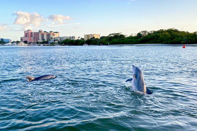Sunset and Dolphin Cruise around Fort Myers Beach - What makes this cruise truly special