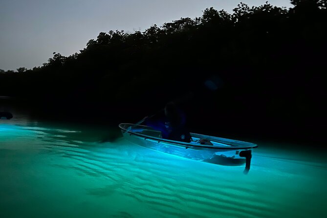 Sunset and Glow Clear Kayak Tour in North Naples - An In-Depth Look at the Experience