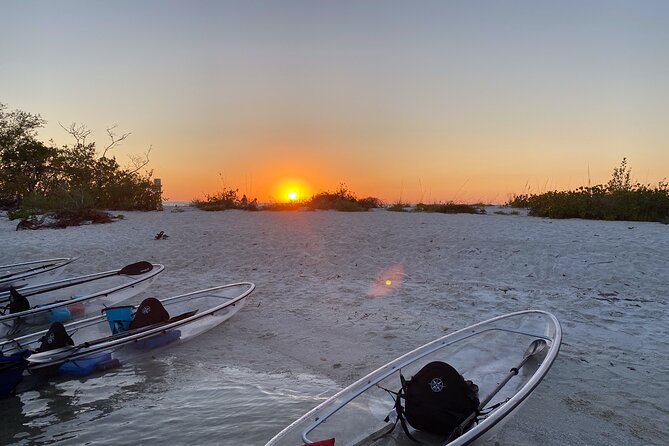 Sunset and Glow Clear Kayak Tour in North Naples - The True Value: Is it Worth the Price?