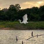 Sunset and Glow Guided Kayaking Tour Grapevine Lake - Final Thoughts