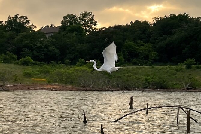 Sunset and Glow Guided Kayaking Tour Grapevine Lake - Final Thoughts