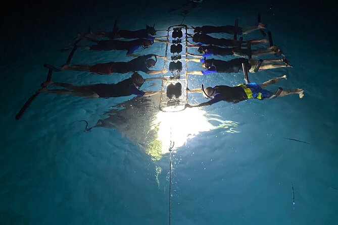 Sunset and Manta Ray Snorkel Adventure - Who Is This Tour Perfect For?