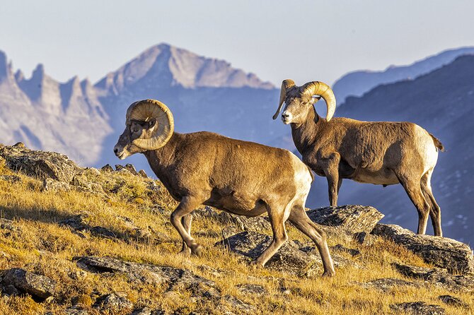 Sunset and Night Photography Tour on Trail Ridge Road - The Itinerary and What You Can Expect