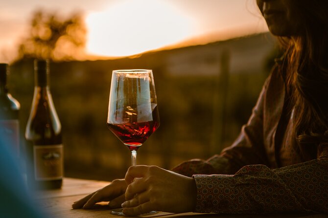 Sunset at the Vineyards Sidecar Wine Adventure Paso Robles - What to Expect: Practical Details & Tips