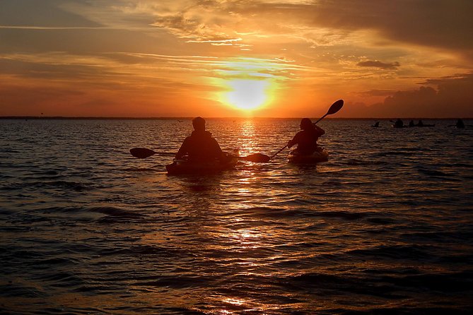 Sunset Bioluminescence Tour - Introduction