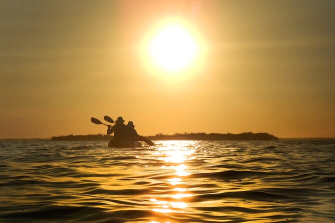 Sunset Bioluminescence Tour - The Sum Up