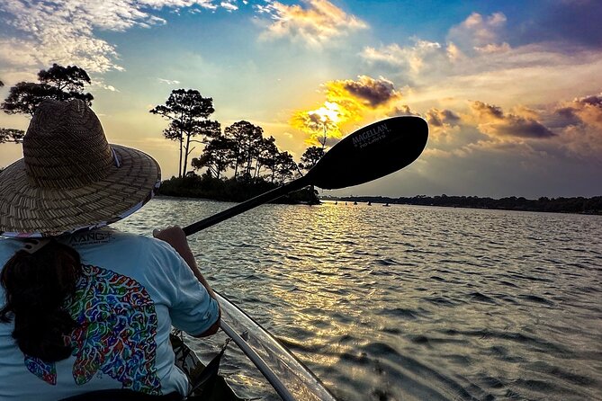Sunset Clear Kayak Tour Destin Ft. Walton Beach - An In-Depth Look at the Tour Experience