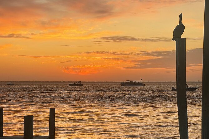 Sunset Dolphin Cruise - An In-Depth Look at the Sunset Dolphin Cruise