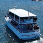 Sunset Dolphin Cruise in Destin - Final Thoughts