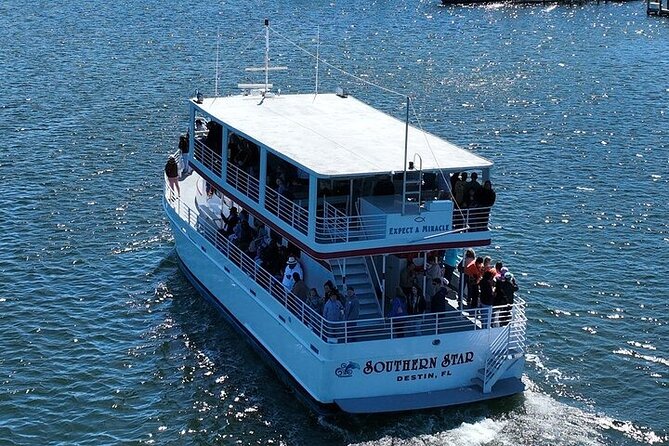 Sunset Dolphin Cruise in Destin - Final Thoughts