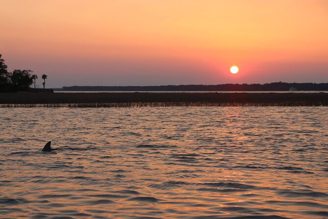 Sunset Dolphin Cruise in Hilton Head - An In-Depth Look at the Sunset Dolphin Cruise
