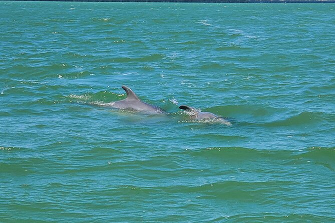Sunset Dolphin Cruise with Sanibel Lighthouse Views - An In-Depth Look at the Sunset Dolphin Cruise