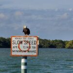 Sunset Dolphin Cruise with Sanibel Lighthouse Views - Who Should Book This Tour?