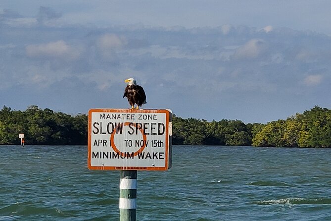 Sunset Dolphin Cruise with Sanibel Lighthouse Views - Who Should Book This Tour?