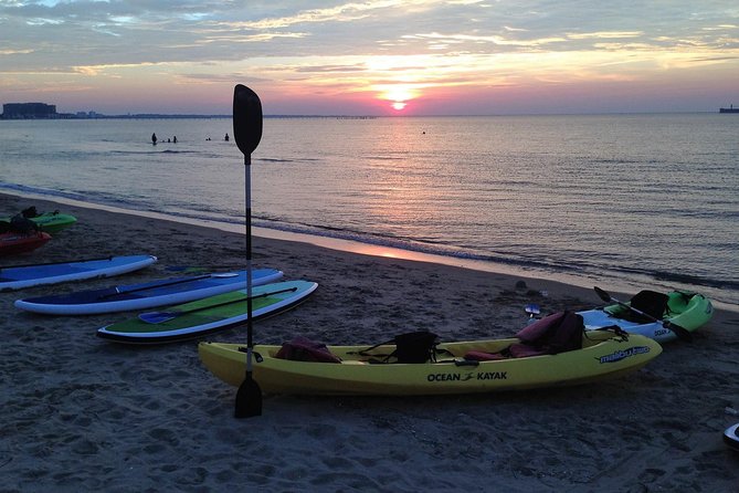 Sunset Dolphin Kayak Tours - Price and Value: Is It Worth It?
