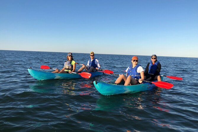 Sunset Dolphin Kayak Tours - Who Will Love This Tour?