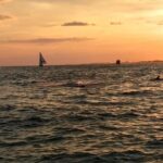 Sunset Dolphin Watching Cruise in Destin Harbor - What the Reviews Say