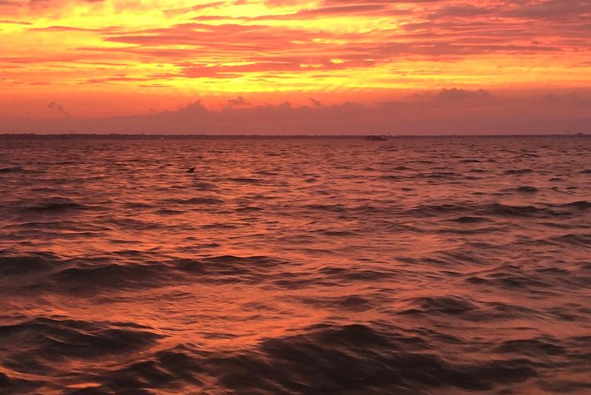 Sunset Dolphin Watching Cruise in Destin Harbor - FAQ