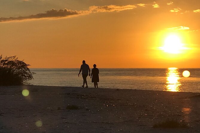Sunset Eco Tour of Marco Island & 10,000 Islands - Key Points