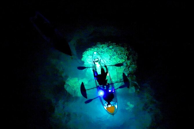 Sunset/Glow Clear Kayak Tour in Olowalu - Authentic Feedback from Past Guests