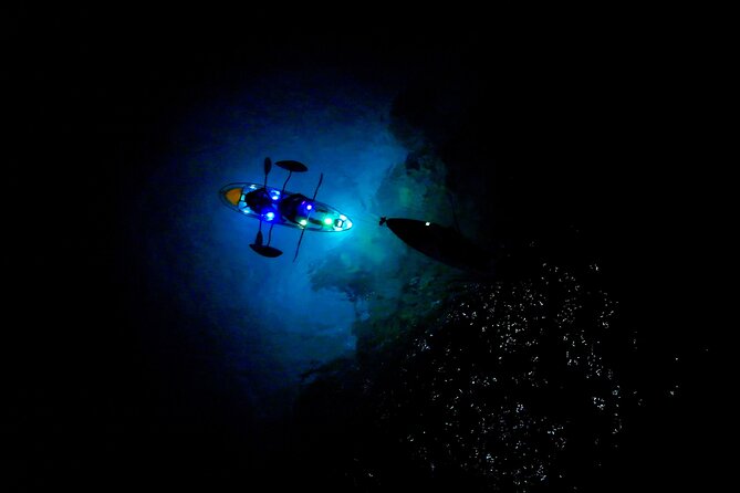 Sunset/Glow Clear Kayak Tour in Olowalu - Who Should Consider This Tour?