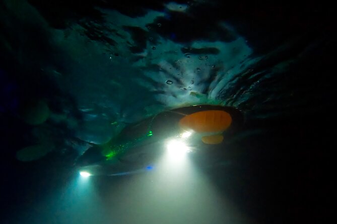 Sunset/Glow Clear Kayak Tour in Olowalu - The Sum Up: Is It Worth It?