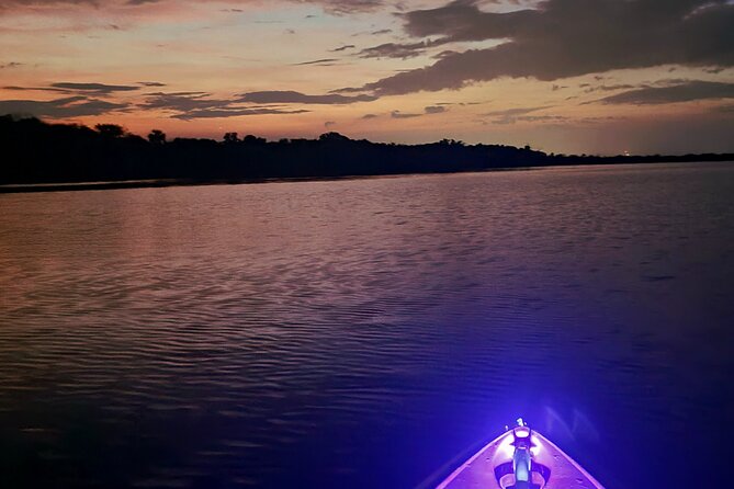 Sunset Glow Kayak Tour - Wildlife Encounters and Natural Learning