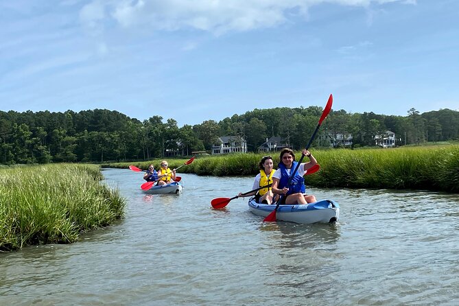 Sunset Kayak Excursion - Rehoboth Bay - Who Should Consider This Tour?