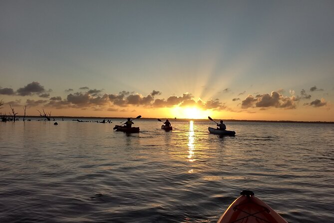 Sunset kayaking tour at Manatee Cove with Manatee & Dolphin sightings - Key Points