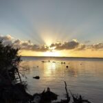Sunset kayaking tour at Manatee Cove with Manatee & Dolphin sightings - What’s Not Included and Practical Tips
