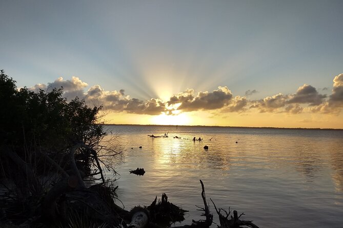 Sunset kayaking tour at Manatee Cove with Manatee & Dolphin sightings - What’s Not Included and Practical Tips