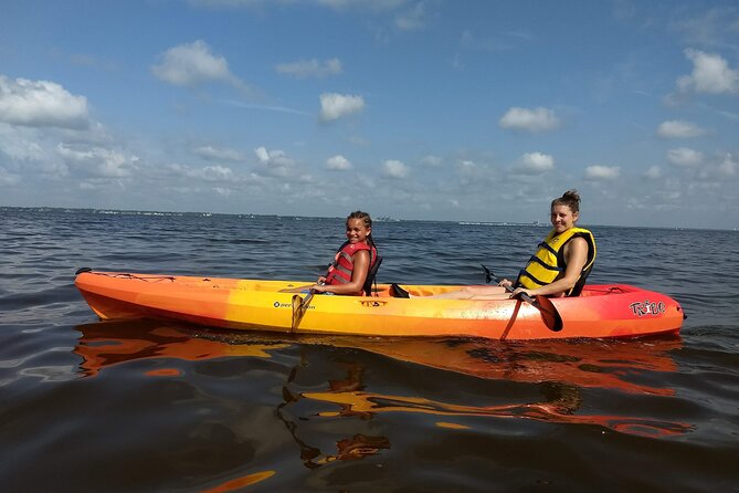 Sunset kayaking tour at Manatee Cove with Manatee & Dolphin sightings - Why This Tour is a Great Choice