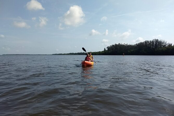 Sunset kayaking tour at Manatee Cove with Manatee & Dolphin sightings - Who Might Want to Consider Alternatives