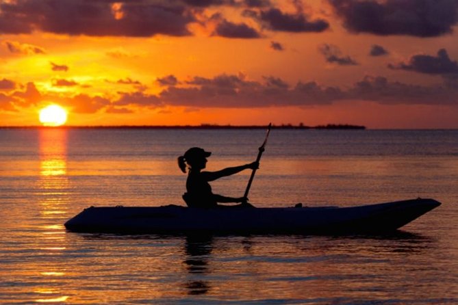 Sunset Kayaking w/ Florida Bioluminescence Combo Tour | Haulover canal - The Itinerary: What to Expect