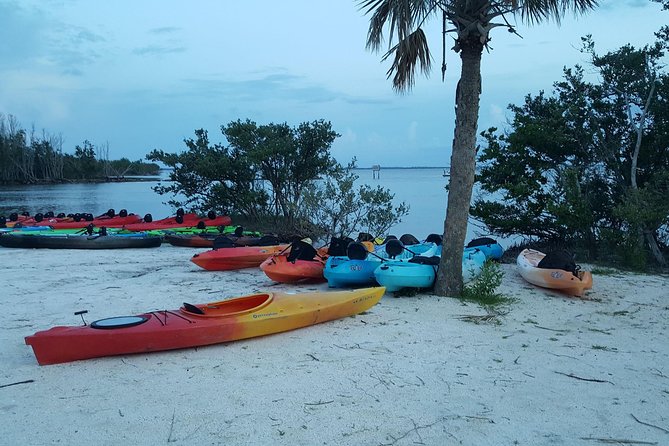 Sunset Kayaking w/ Florida Bioluminescence Combo Tour | Haulover canal - The Experience: Wildlife and Ecosystem Insights