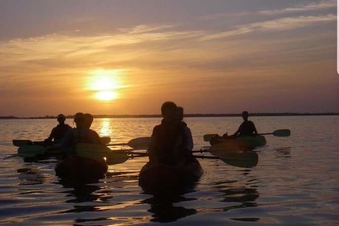 Sunset Kayaking w/ Florida Bioluminescence Combo Tour | Haulover canal - The Sum Up