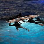 Sunset Manta Ray Tour in Kailua-Kona - Why This Tour Is a Must-Do for Hawaii Visitors