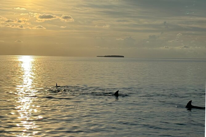 Sunset Powerboat Cruise - Who Will Love This Experience?
