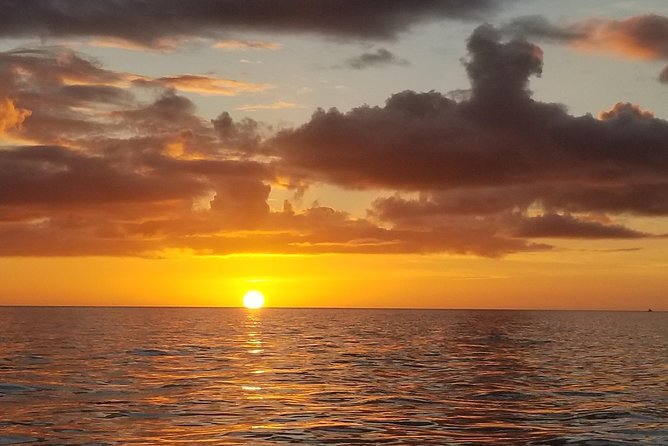 Sunset Private Boat Trip in Naples FL with Secluded Island Stop with your Dog - An In-Depth Look at the Experience